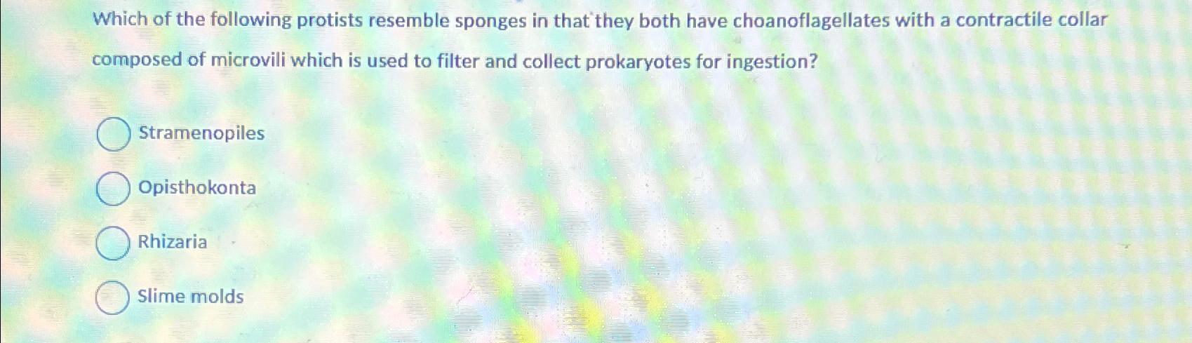 Solved Which of the following protists resemble sponges in | Chegg.com