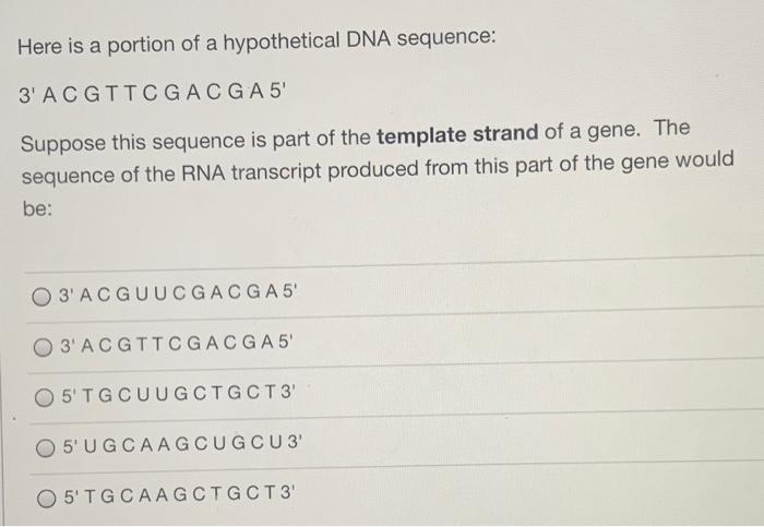 Solved Here is a portion of a hypothetical DNA sequence: 3' | Chegg.com