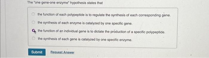 Solved The "one gene-one enzyme" hypothesis states that the | Chegg.com