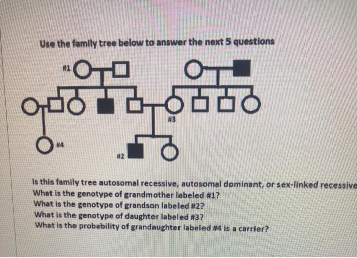 Solved Use the family tree below to answer the next 5 | Chegg.com