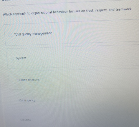 Solved Which approach to organizational behaviour focuses on | Chegg.com