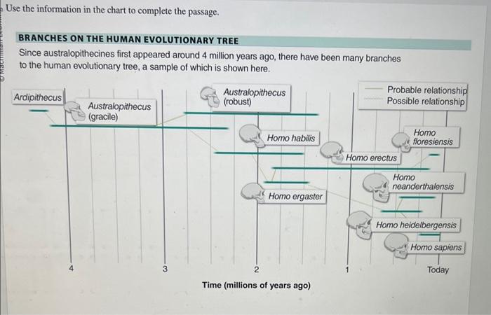 Solved Use the information in the chart to complete the | Chegg.com
