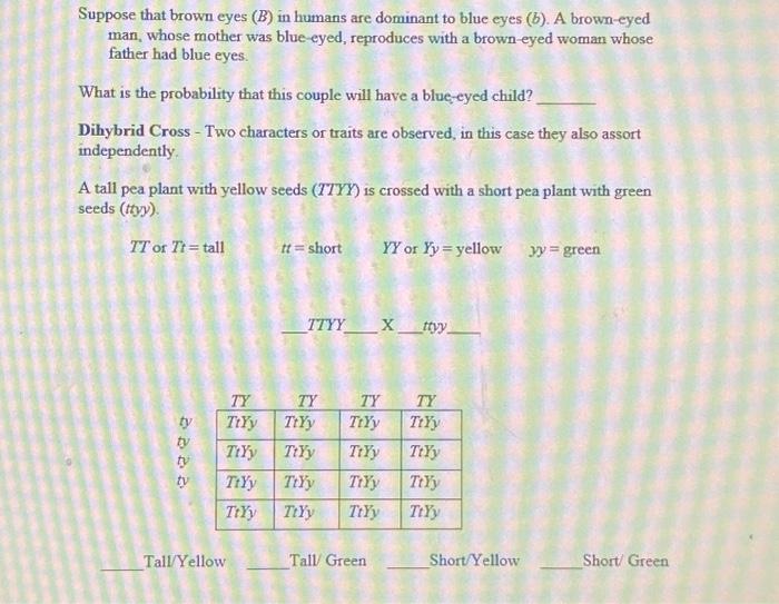Solved More on Mendelian inheritance patterns. In corn | Chegg.com