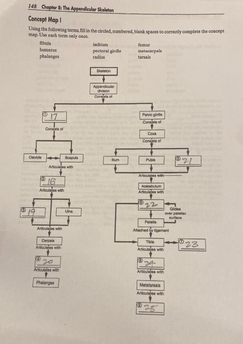 Solved 148 Chapter 8: The Appendicular Skeleton Concept Map | Chegg.com