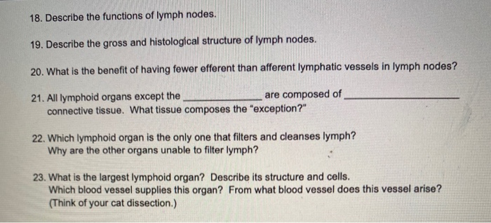 Solved 18. Describe the functions of lymph nodes. 19. | Chegg.com