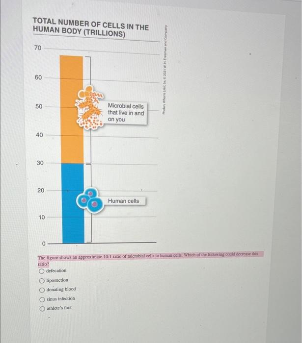 Solved TOTAL NUMBER OF CELLS IN THE HUMAN BODY (TRILLIONS) | Chegg.com