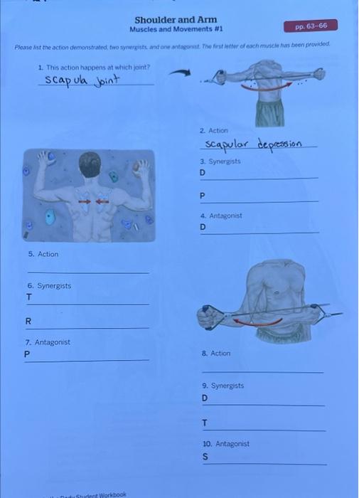Solved Shoulder and Arm Muscles and Movements H1 1. This | Chegg.com