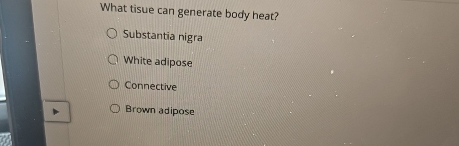 Solved What tisue can generate body heat?Substantia | Chegg.com Solved What tisue can generate body heat?Substantia | Chegg.com