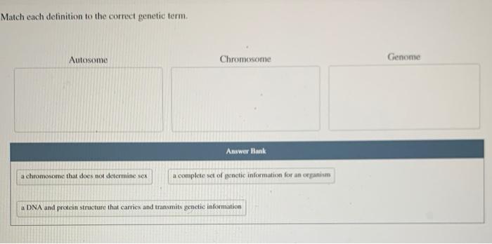 Solved Match each definition to the correct genetic term. | Chegg.com