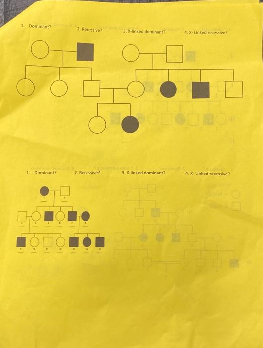 Solved 12. Dominant? 2. Recessive? 3. X-linked dominant? 4. | Chegg.com