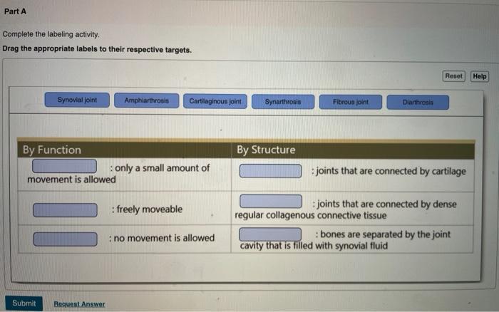 Solved Part A Complete the labeling activity. Drag the | Chegg.com