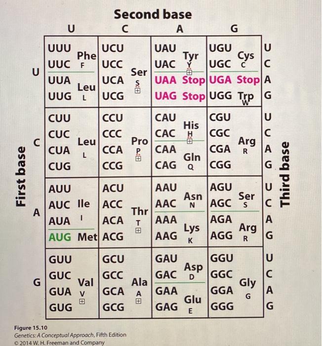 1. The amino acid sequence for the Hbb protein is | Chegg.com