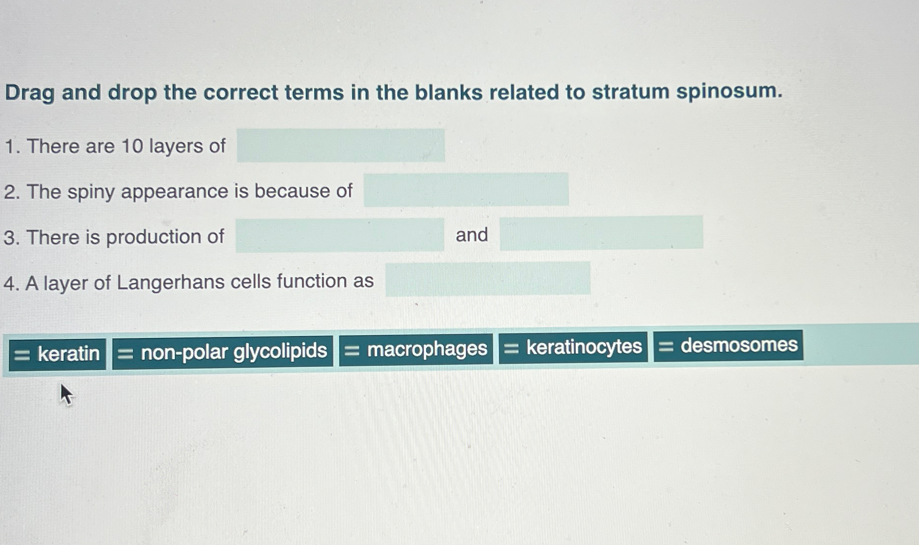 Solved Drag and drop the correct terms in the blanks related | Chegg.com