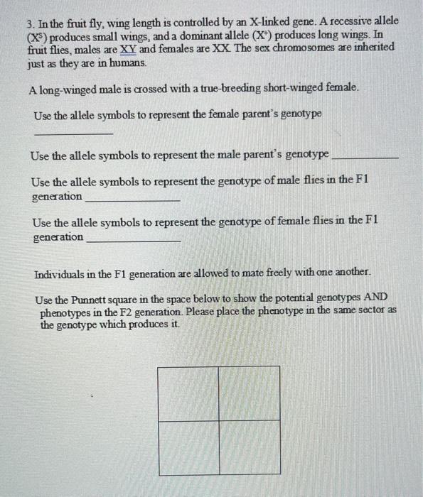 Solved 3. In the fruit fly, wing length is controlled by an | Chegg.com