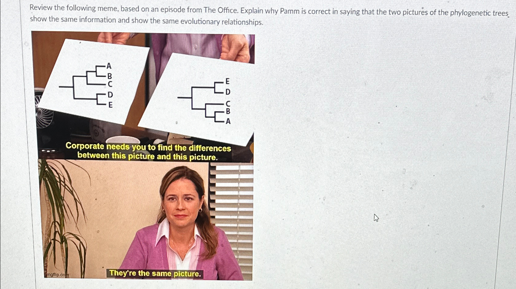 Solved Review the following meme, based on an episode from | Chegg.com