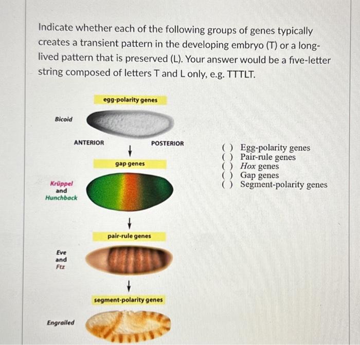 Solved Indicate whether each of the following groups of | Chegg.com