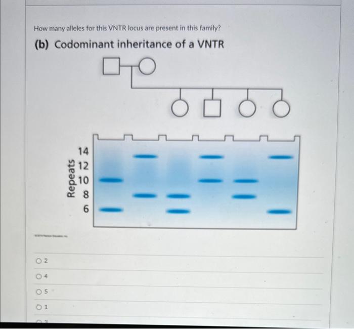 Solved How do STRs differ from VNTRs? There are no | Chegg.com