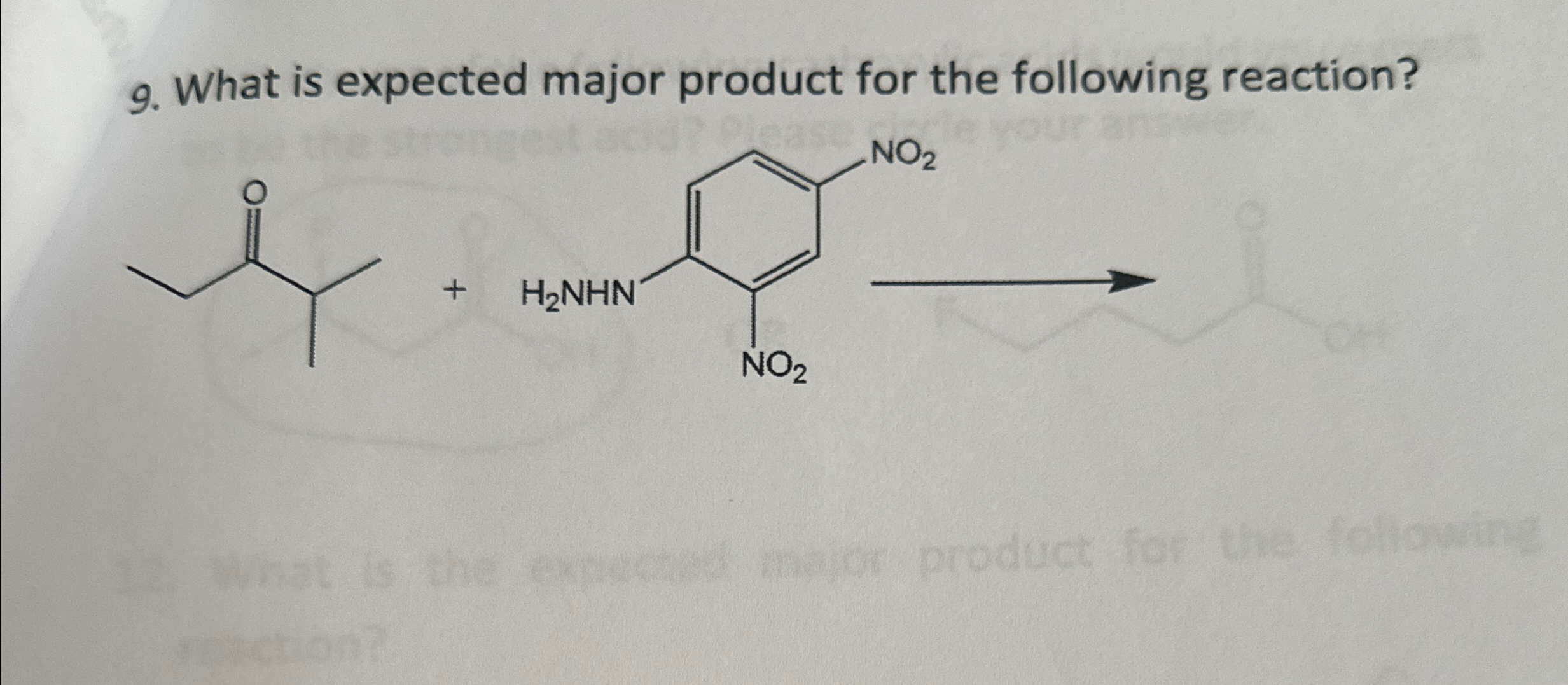 Solved What Is Expected Major Product For The Following