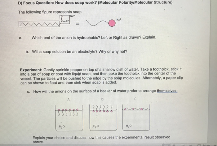 Solved D) Focus Question: How does soap work? (Molecular | Chegg.com
