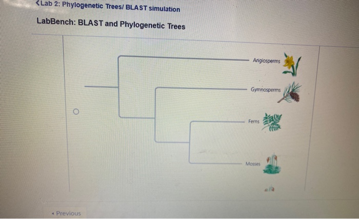 Solved ench: BLAST and Phylogenetic Trees 1 of 1 Part D N. | Chegg.com