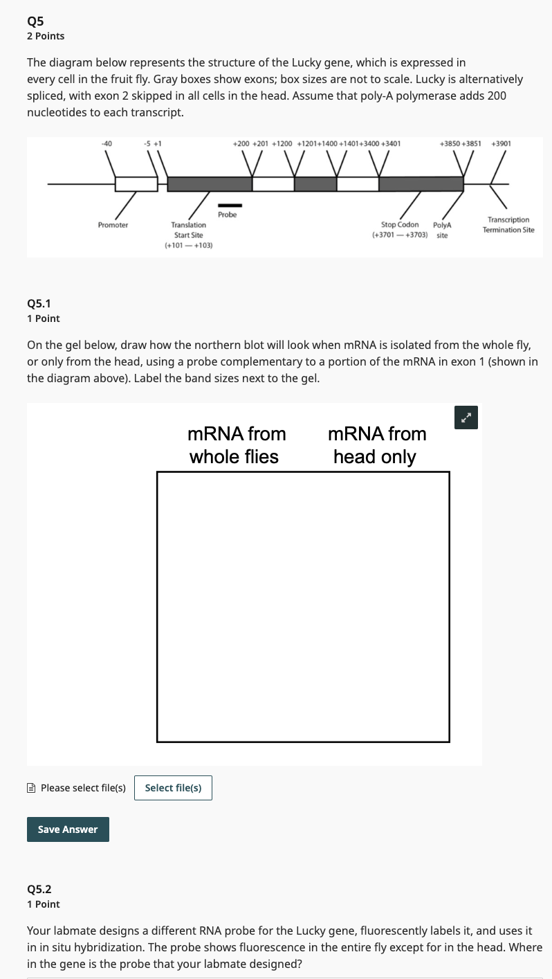 Solved Q5) ﻿The diagram below represents the structure of | Chegg.com
