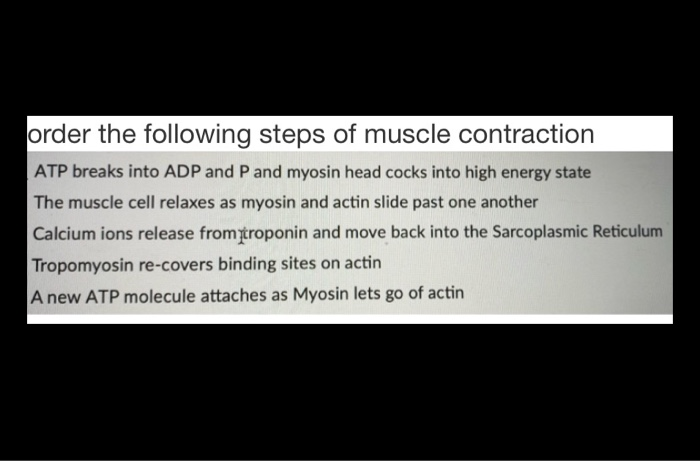 Solved order the following steps of muscle contraction ATP | Chegg.com