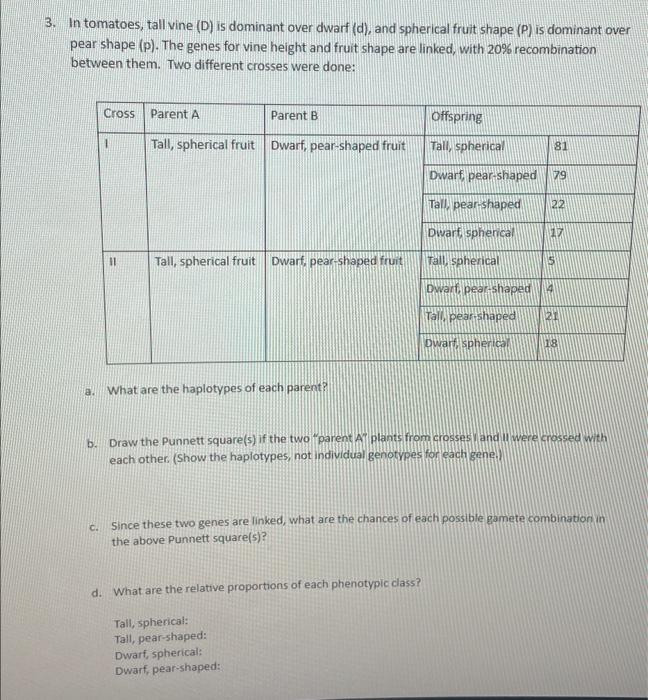Solved 3. In tomatoes, tall vine (D) is dominant over dwarf | Chegg.com