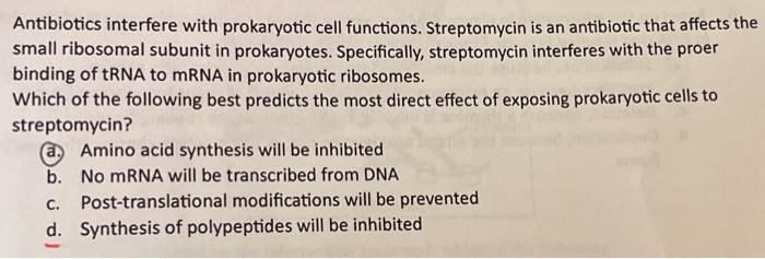 Solved Antibiotics interfere with prokaryotic cell | Chegg.com