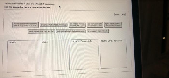 Contrast the structure of SINE and LINE DNA sequences | Chegg.com