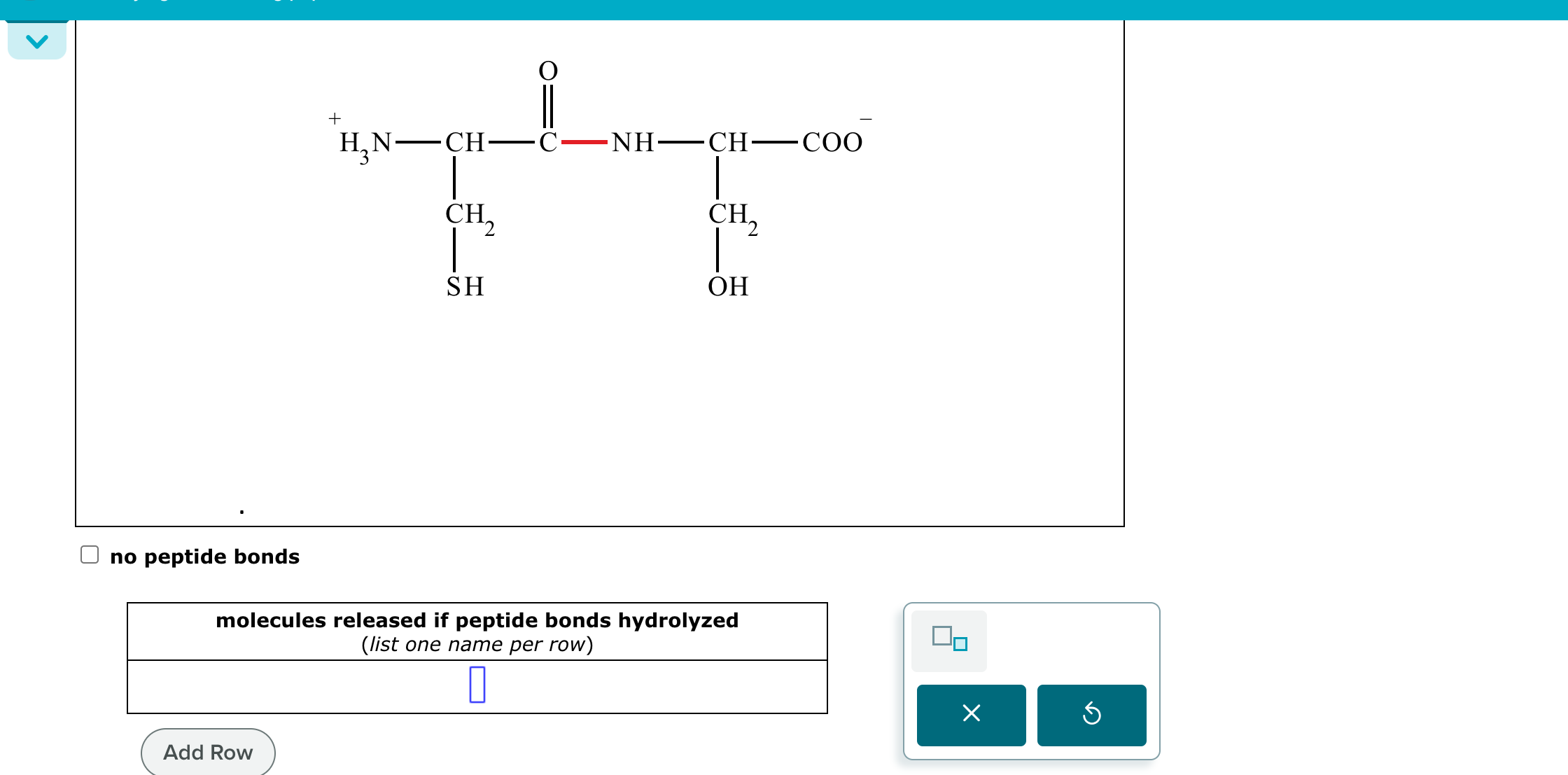 Solved Highlight each peptide bond in the molecule below. In | Chegg.com