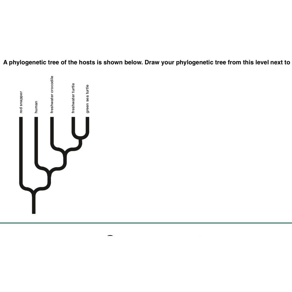 A phylogenetic tree of the hosts is shown below. Draw | Chegg.com