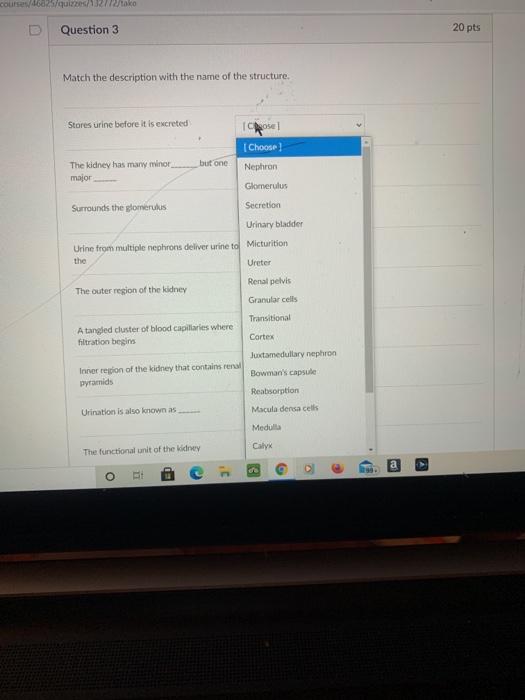 Solved Question 3 20 pts Match the description with the name | Chegg.com