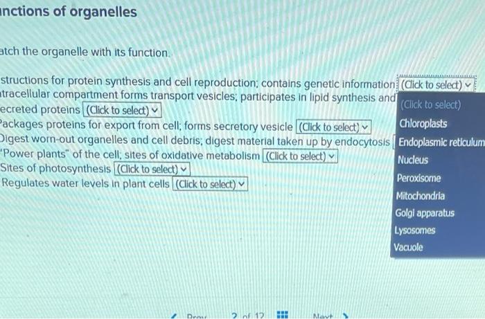 Solved anctions of organelles atch the organelle with its | Chegg.com