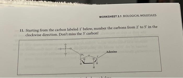 Solved 11. Starting from the carbon labeled I' below, number | Chegg.com