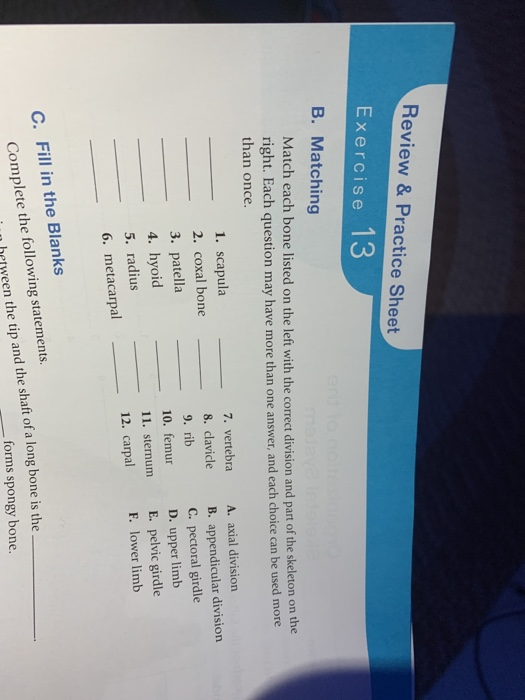 Solved Review & Practice Sheet Exercise 13 B. Matching Match | Chegg.com