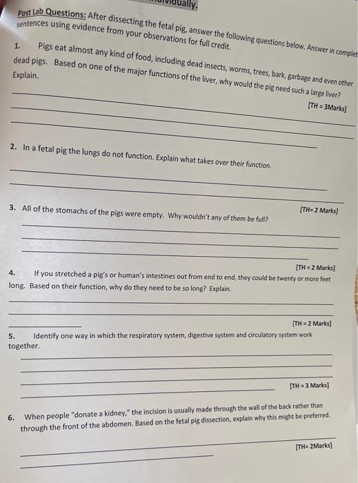 Solved post Lab Questions: After dissecting the fetal pig, | Chegg.com Solved post Lab Questions: After dissecting the fetal pig, | Chegg.com