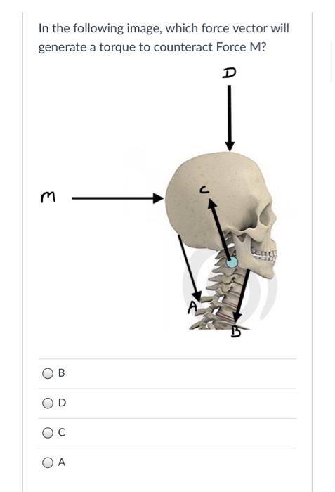 Solved In the following image, which force vector will | Chegg.com