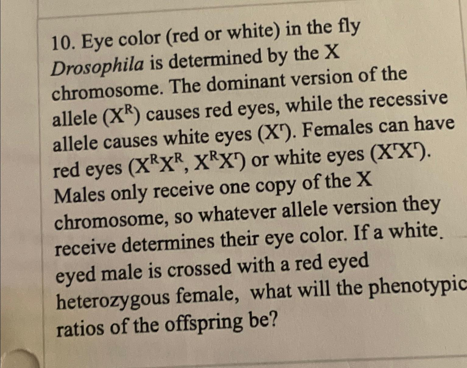 Solved Eye color (red or white) ﻿in the fly Drosophila is | Chegg.com