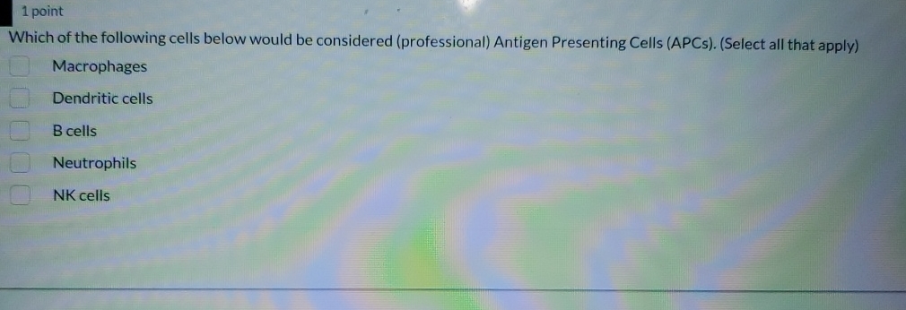 Solved 1 ﻿pointWhich of the following cells below would be | Chegg.com