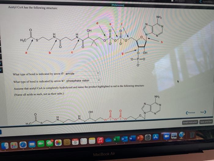 Solved IRAGE Acety CoA has the following structure: NH2 OH | Chegg.com Solved IRAGE Acety CoA has the following structure: NH2 OH | Chegg.com