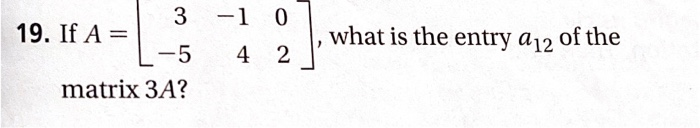 Solved -1 0 3 19. If A= -5 matrix 3A? 7, what is the entry | Chegg.com