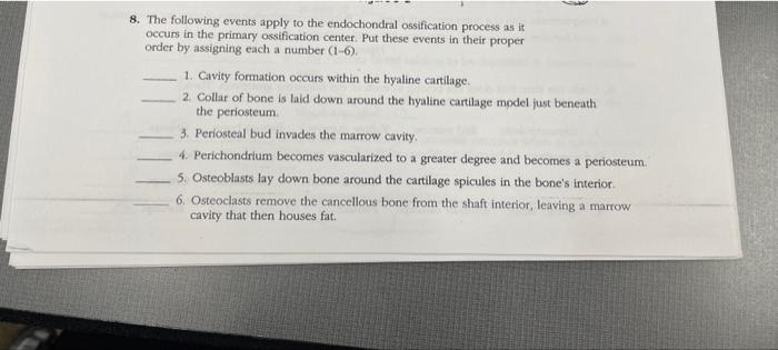 Solved 8. The following events apply to the endochondral | Chegg.com