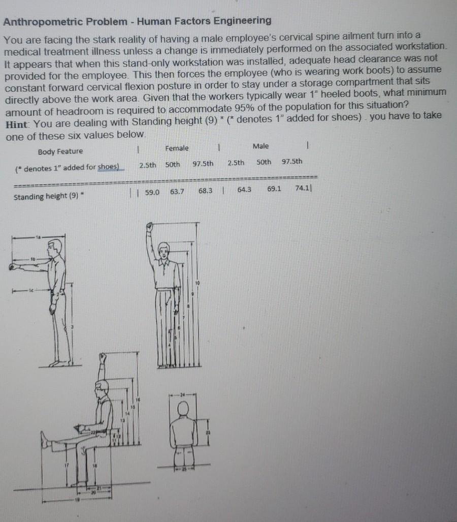 Solved Anthropometric Problem - Human Factors Engineering | Chegg.com