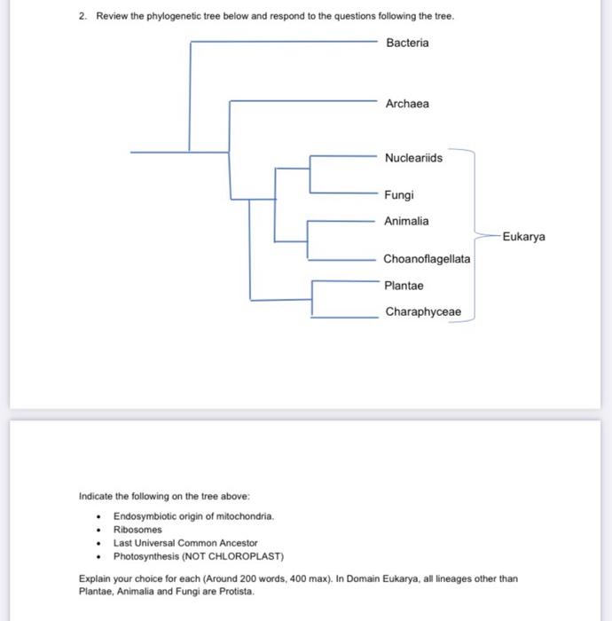 Solved 2. Review the phylogenetic tree below and respond to | Chegg.com