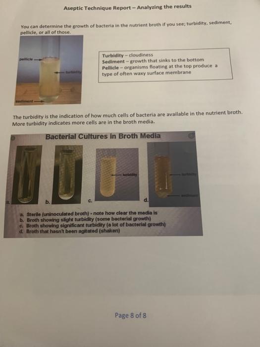 Aseptic Technique Report Observe your samples from | Chegg.com