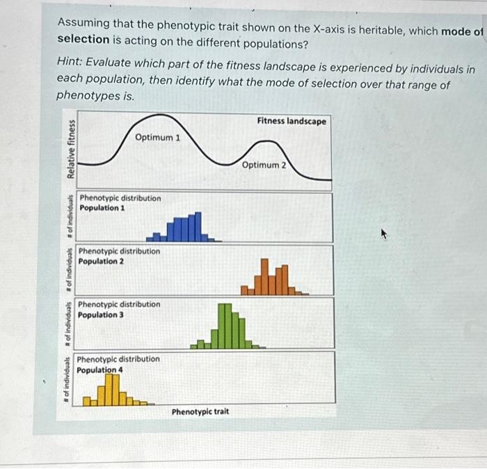 Solved Assuming that the phenotypic trait shown on the | Chegg.com