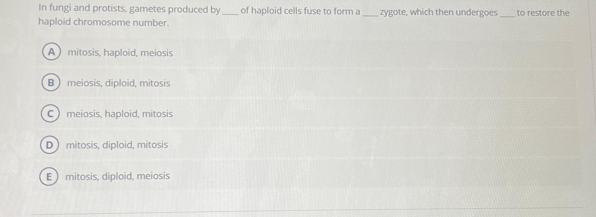Solved In fungi and protists, gametes produced by of haploid | Chegg.com