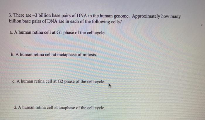 Solved 3. There are 3 billion base pairs of DNA in the human | Chegg.com