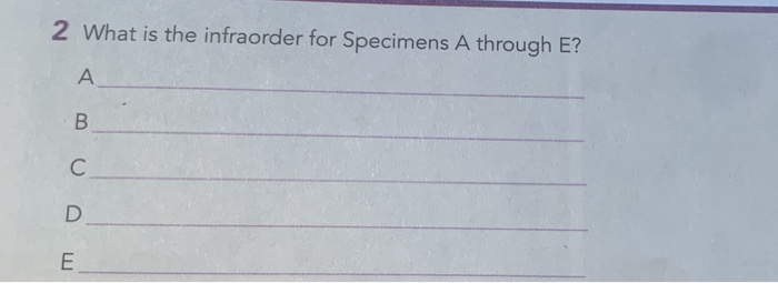 2 What is the infraorder for Specimens A through E?! | Chegg.com