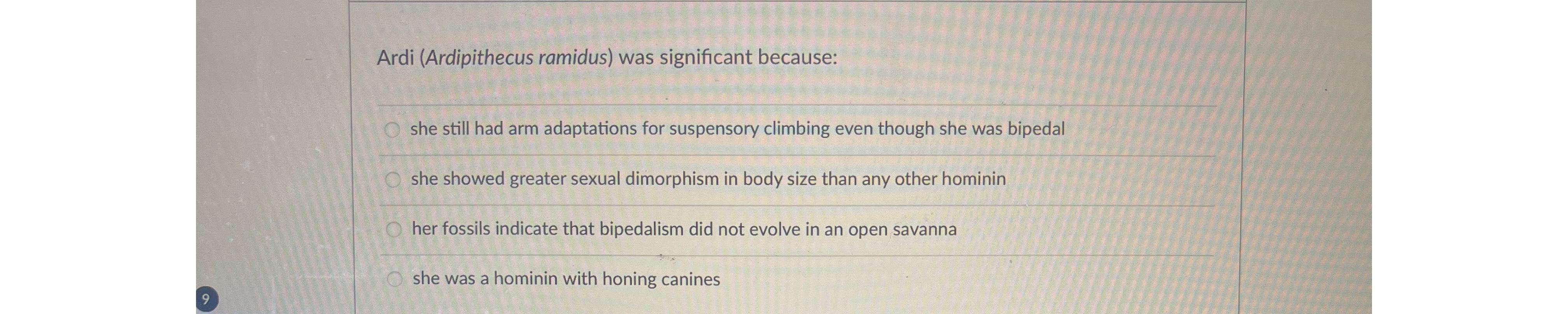 Solved Ardi (Ardipithecus ramidus) ﻿was significant | Chegg.com